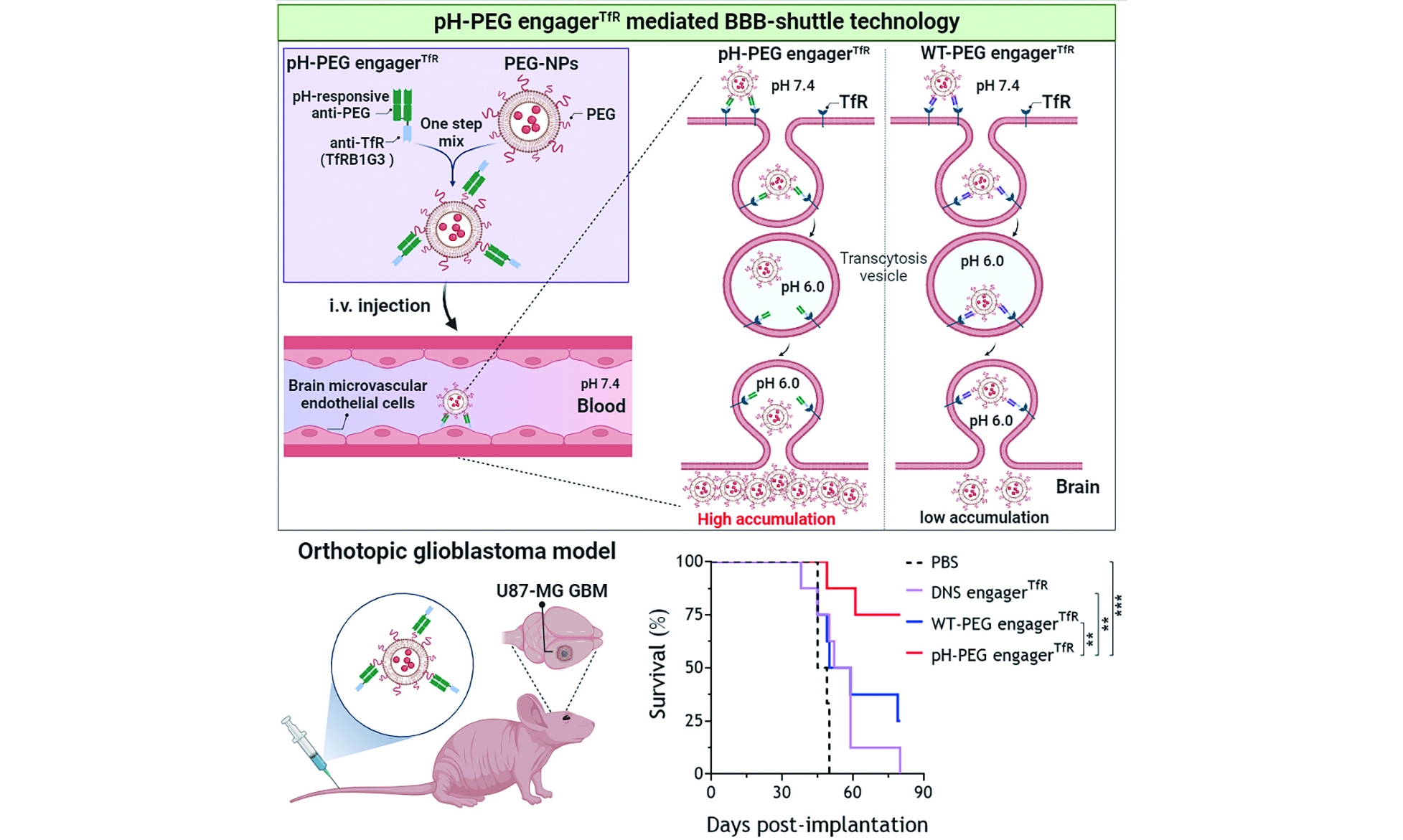 2024年 學術研究獎項
