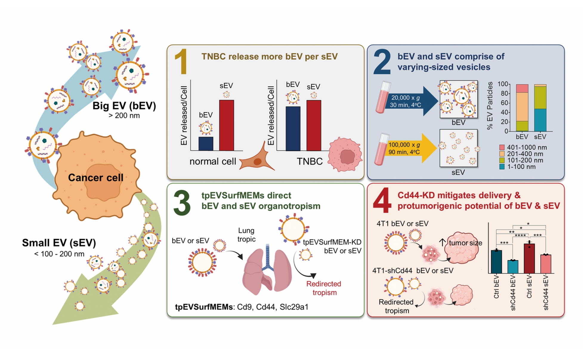 2024年 學術研究獎項