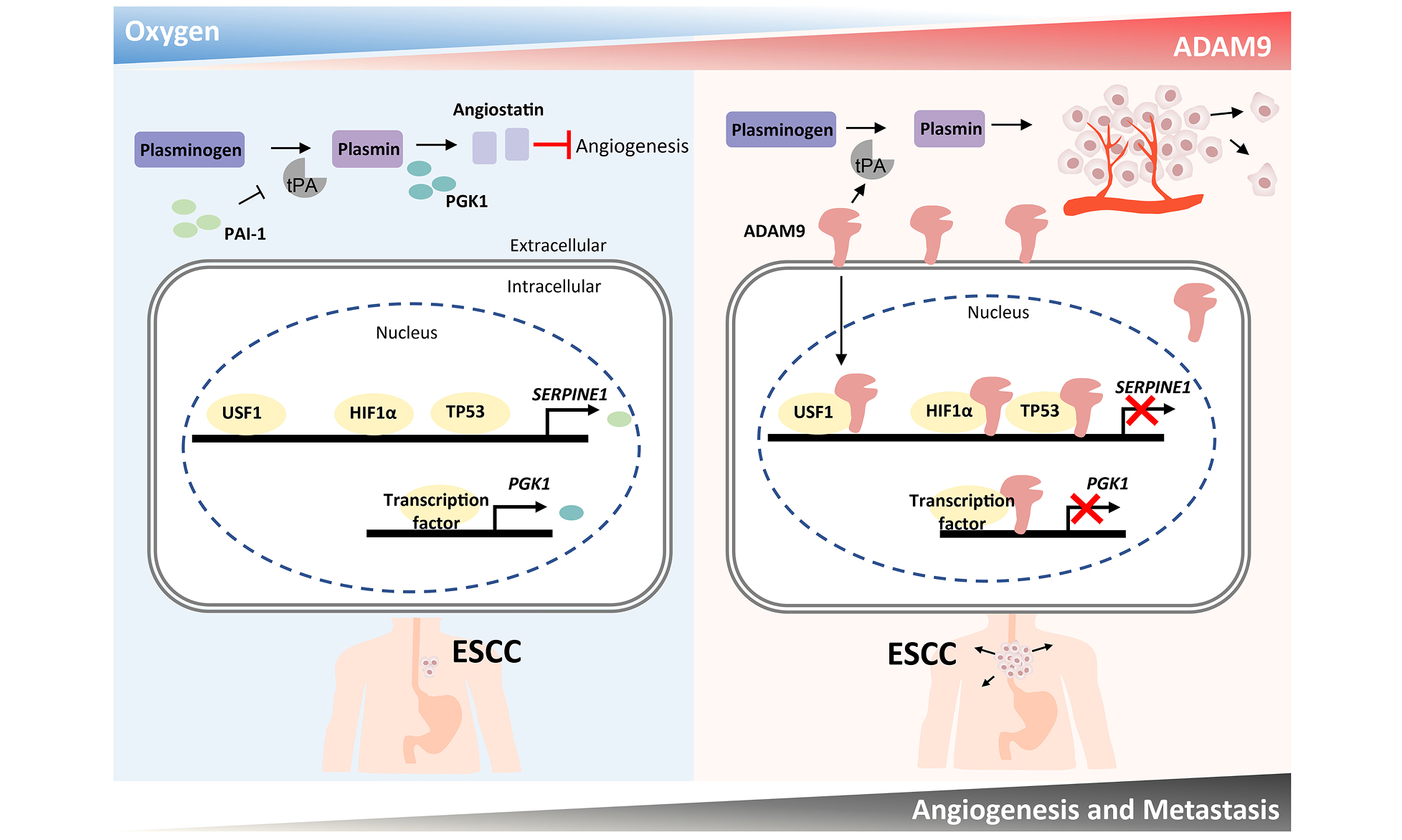 2025年 學術研究獎項