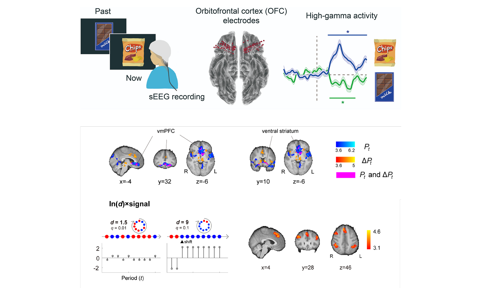 2025年 學術研究獎項